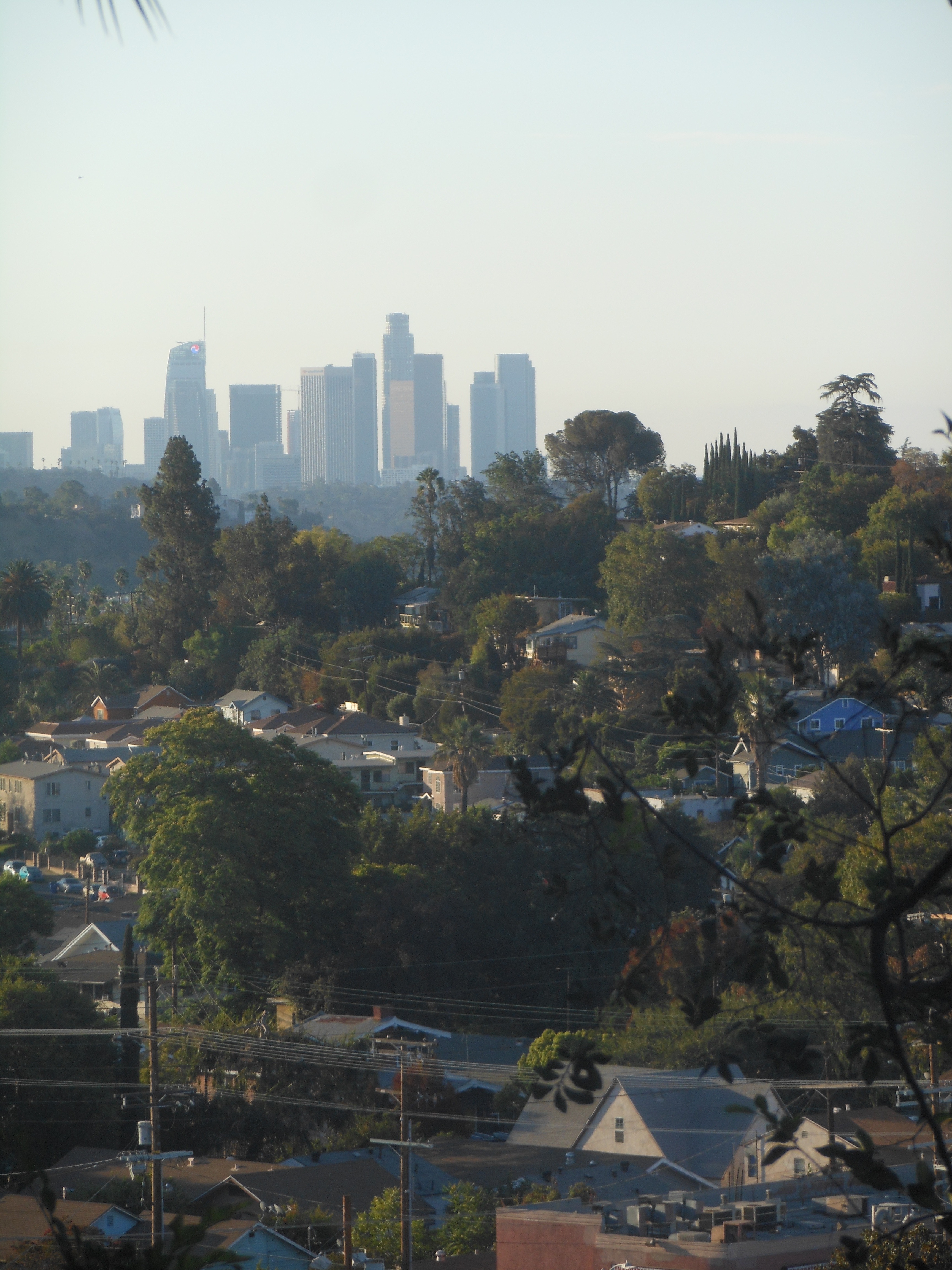 Letter To Our City – Student Stories L.A.